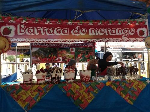 PARQUE DA ÁGUA BRANCA RECEBE ESTE MÊS FESTIVAL DO MORANGO - Guia do ...